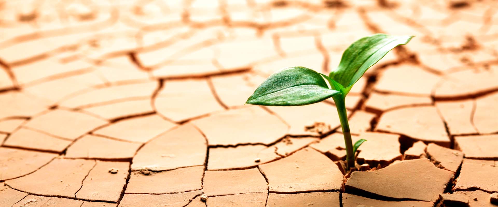 Evento El Resurgir de la Argentina - IAE Business School